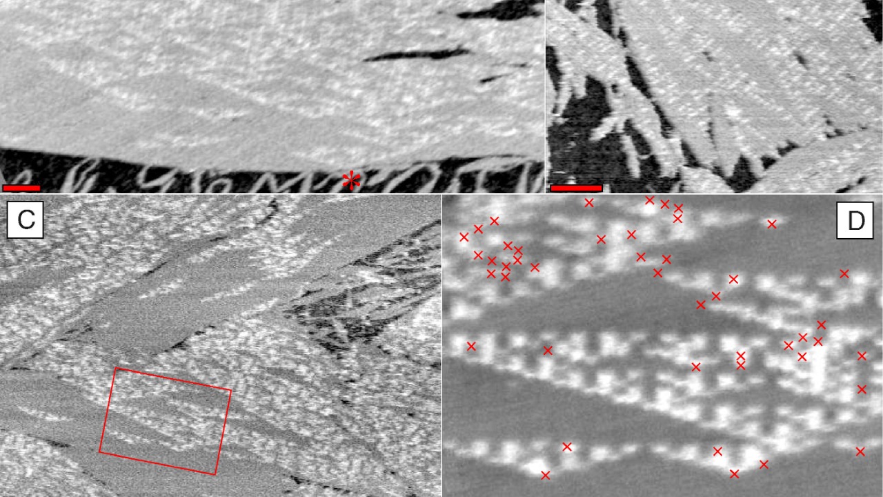 Self-replicating nanobots repair tissue