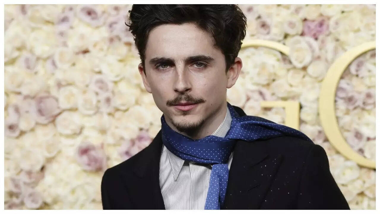 ‘High Side’: Timothee Chalamet to become youngest actor to earn $25 ...