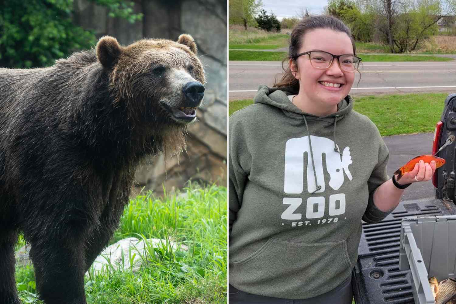 A Minnesota Zoo Is Feeding Its Animals Unwanted Pet Goldfish Found ...