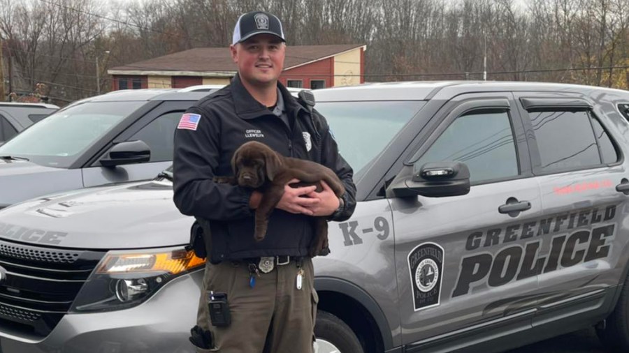 Greenfield police’s comfort dog Frank celebrates 3rd birthday
