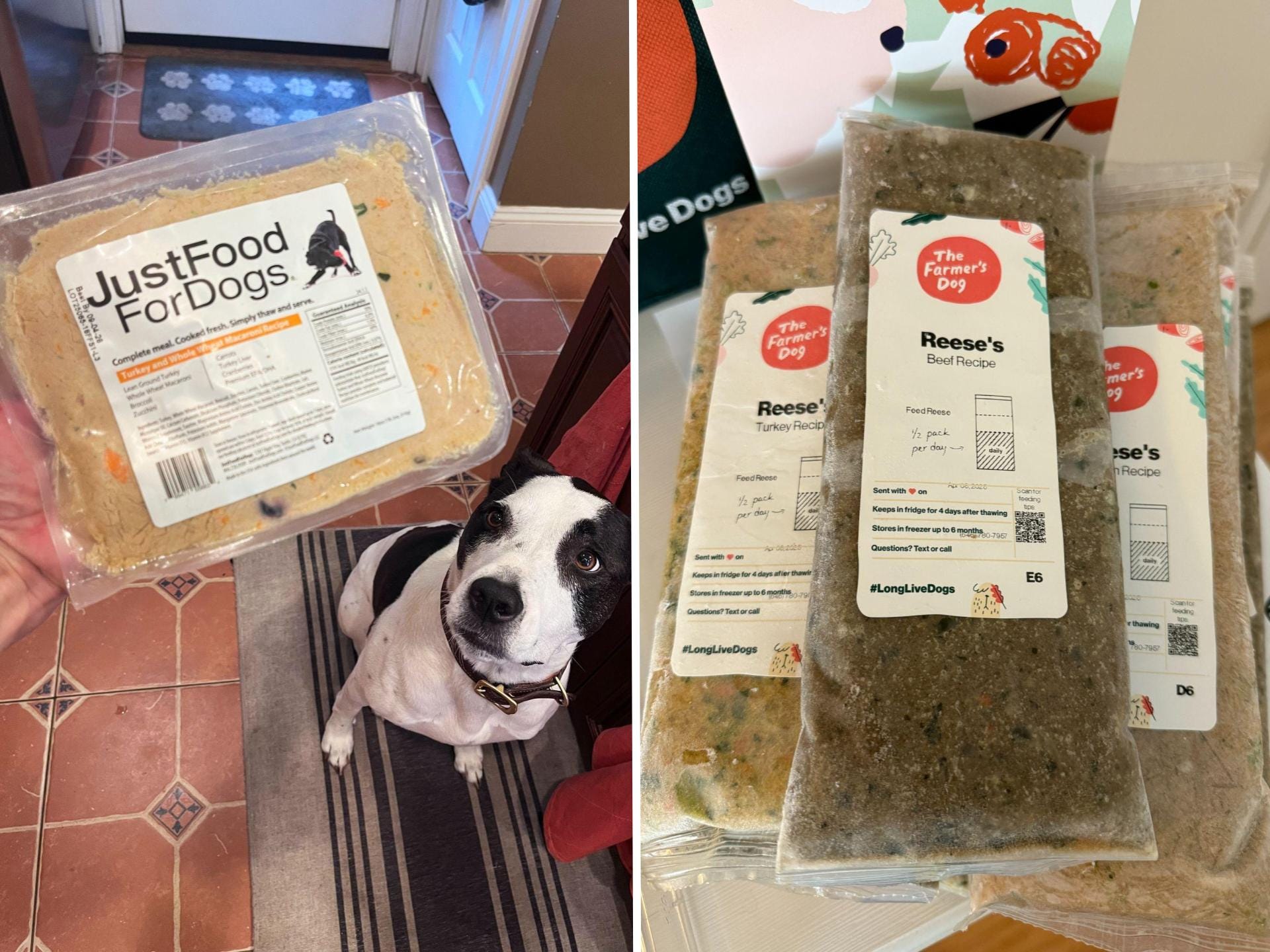 Best fresh dog food brands