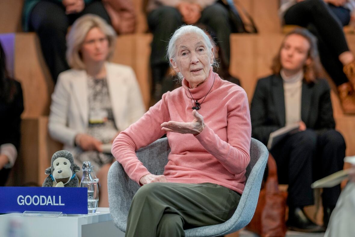 'The environment is getting left behind,' says Jane Goodall