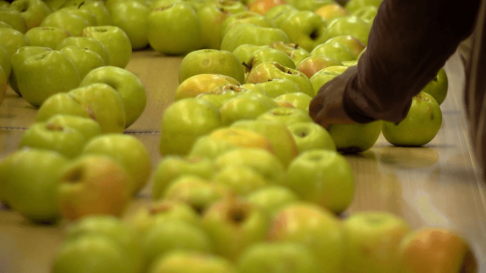 Peeling good: Barber Orchards Fruit Stand is open for the fall season