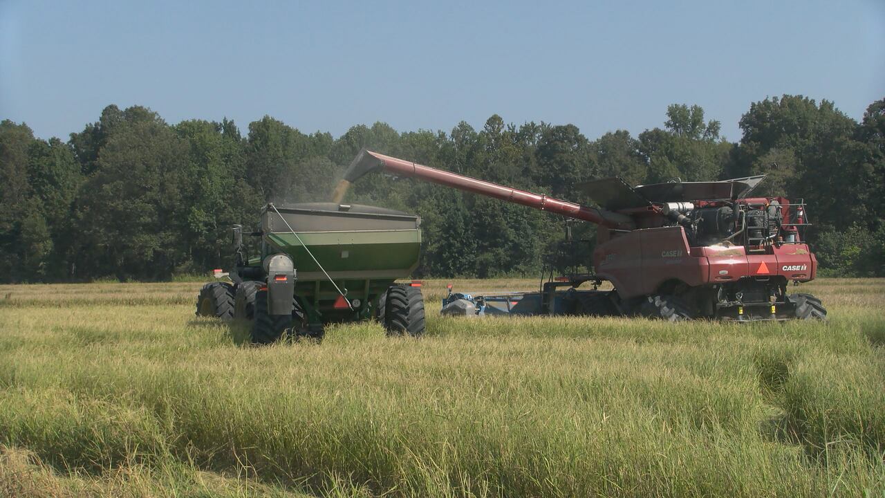 Arkansas farm income to drop 8% in 2025