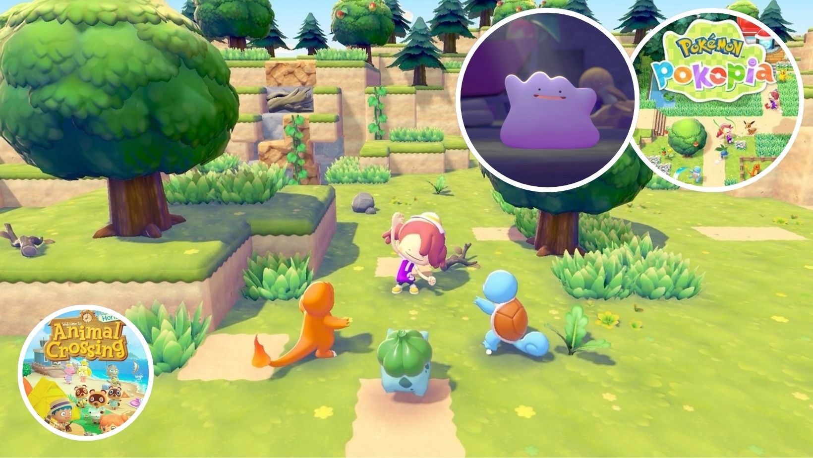 Nintendo announces new Animal Crossing-esque Pokémon game