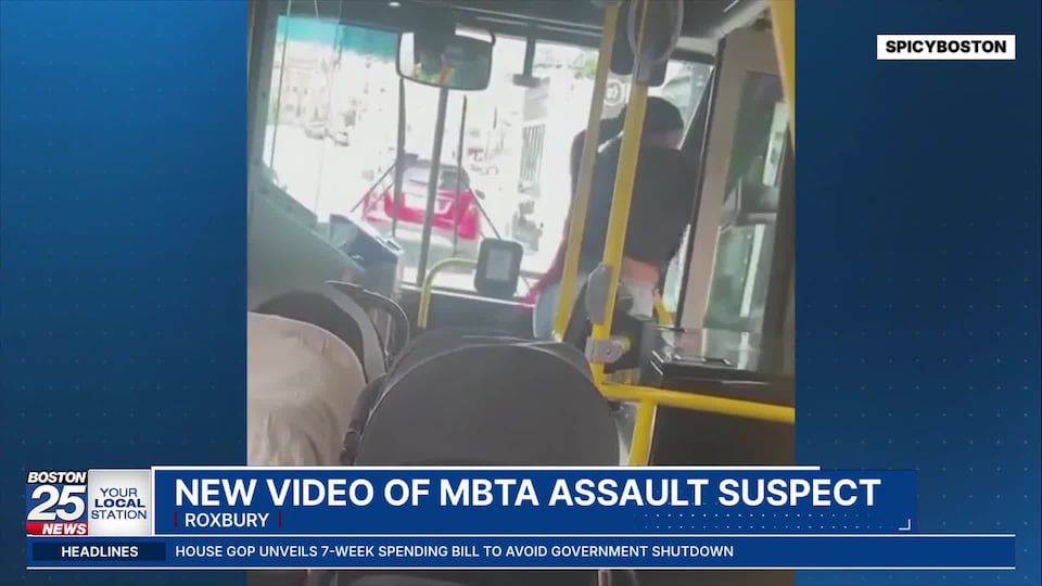 New video shows forceful shove that sent elderly woman flying off bus ...