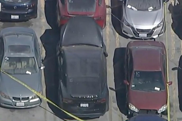 Dismembered body found in singer D4vd’s abandoned Tesla ID’d as teen girl