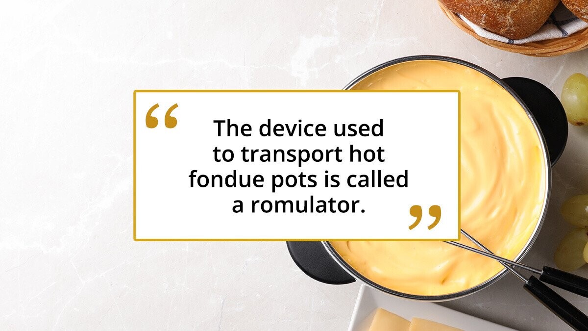 Obscure Facts 28 People Only Know Because of Their Job
