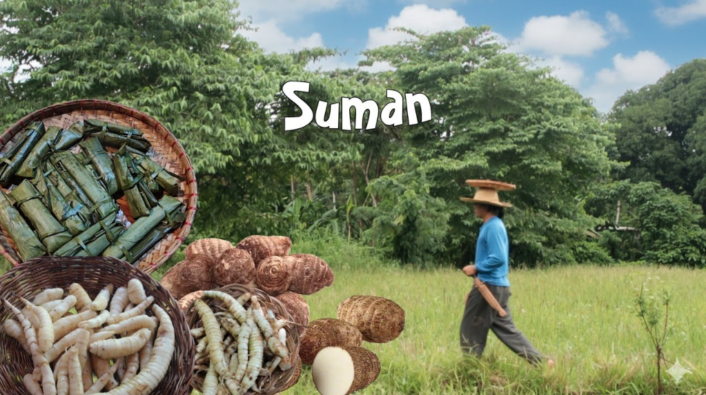 Finding & Cooking Rare Philippine Root Crops: Galyang & Uraro Suman!