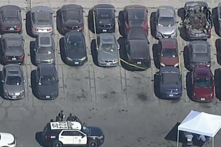 Dismembered body found in singer D4vd’s abandoned Tesla ID’d as teen girl