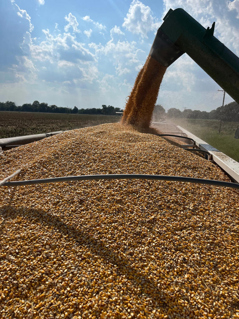 Kansas corn farmers celebrate a record crop