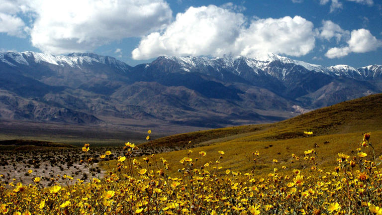 California’s national parks set to roll out reservation system—Here’s ...