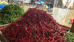 Harga Cabai Merah di Sumut Bikin Pusing Kepala, Tembus Rp100 Ribu