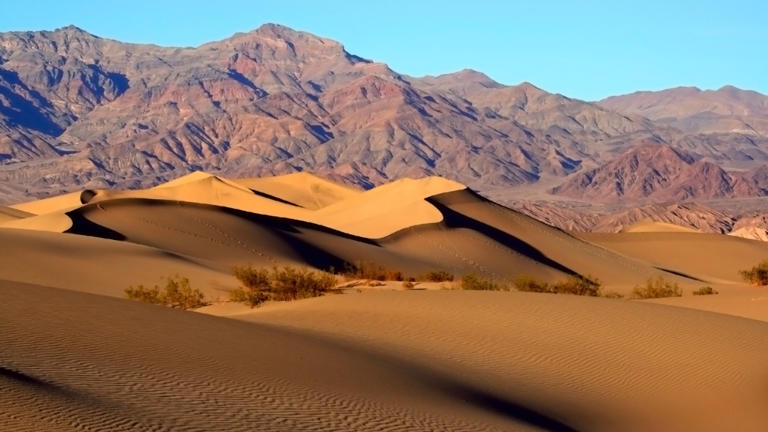 Record heat in California’s desert parks prompts new travel warnings ...