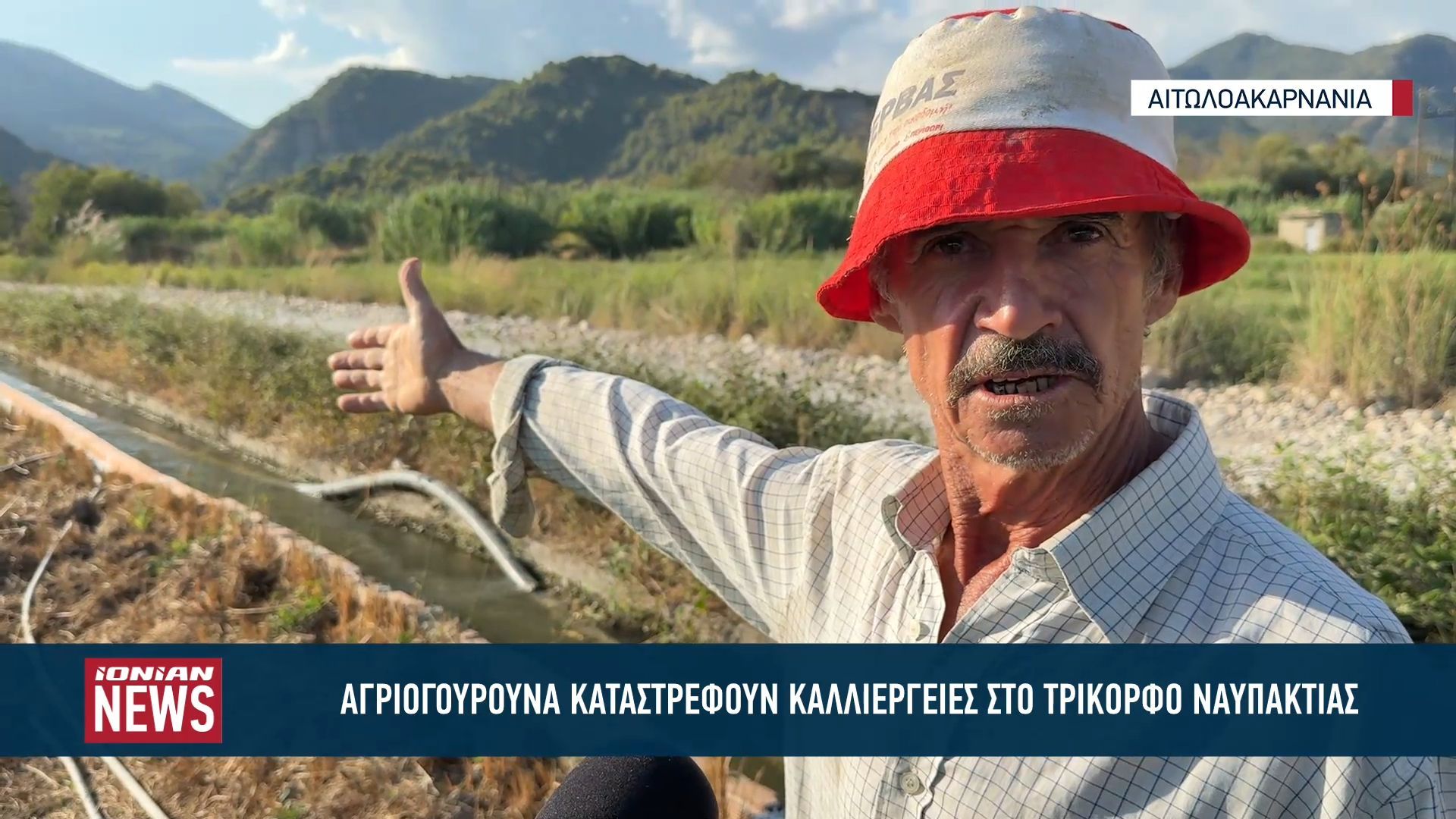 Αγριογούρουνα καταστρέφουν καλλιέργειες στο Τρίκορφο Ναυπακτίας