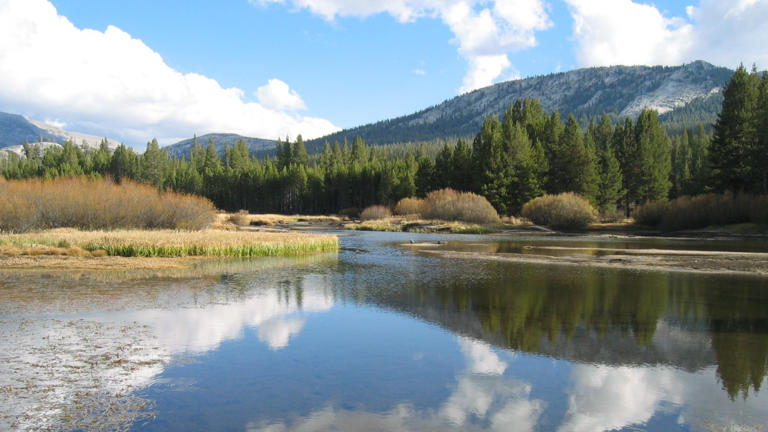 California’s national parks set to roll out reservation system—Here’s ...