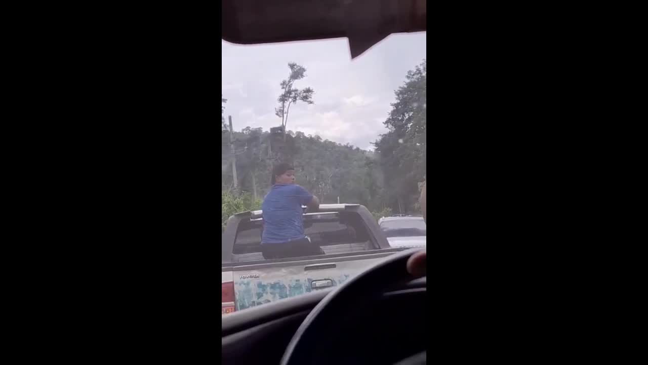 Passengers scream as wild elephant attacks cars on mountain road