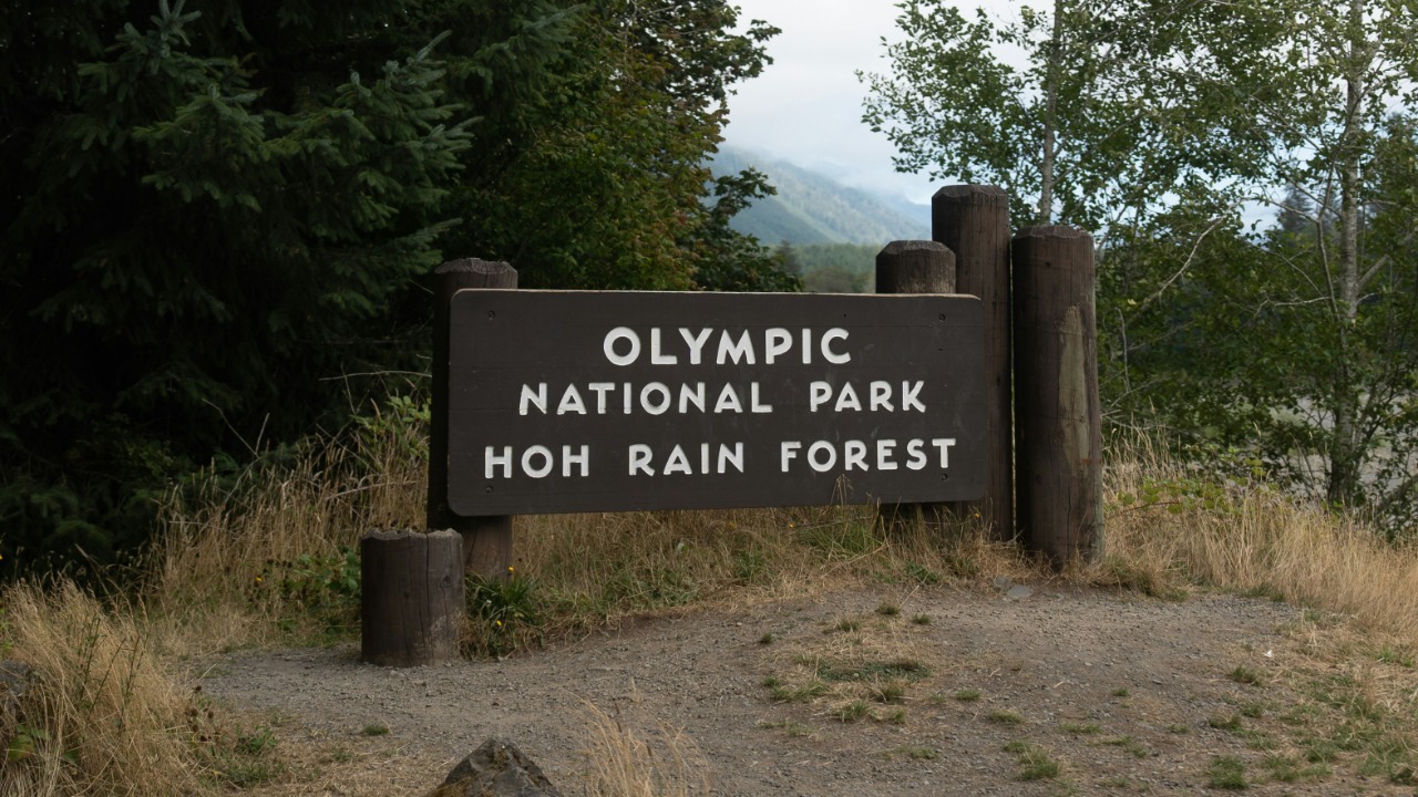Hoh rain forest unveils new accessible loop trail