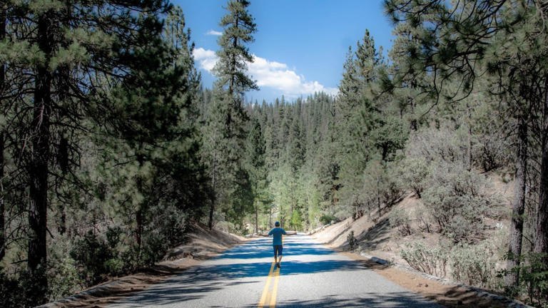 New trail alert: Washington opens up access to a once-restricted ...