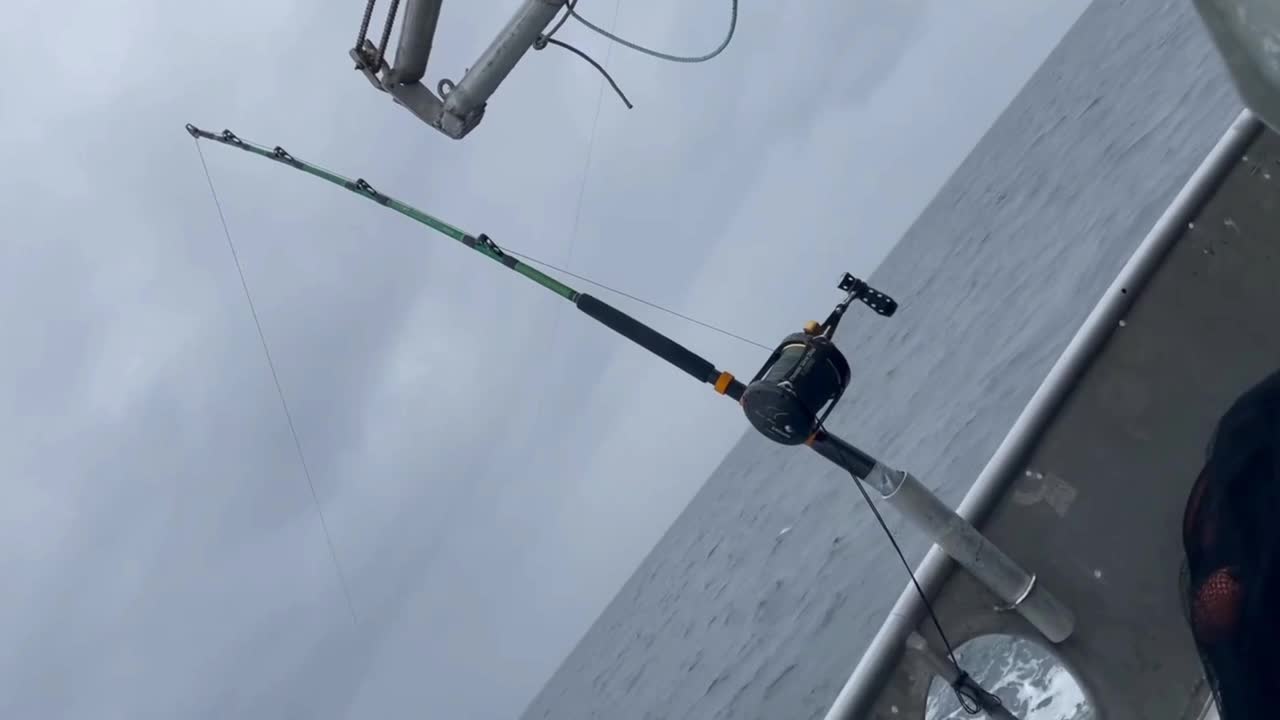 Angler catches huge 600lb tuna after hours at sea