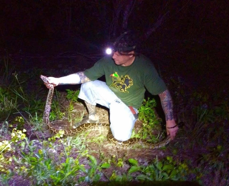 Florida python hunter cashes in: He eliminated more than 60 invasive ...