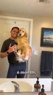 Blink and You’ll Miss It: Puppy’s Fast-Forward Growth
