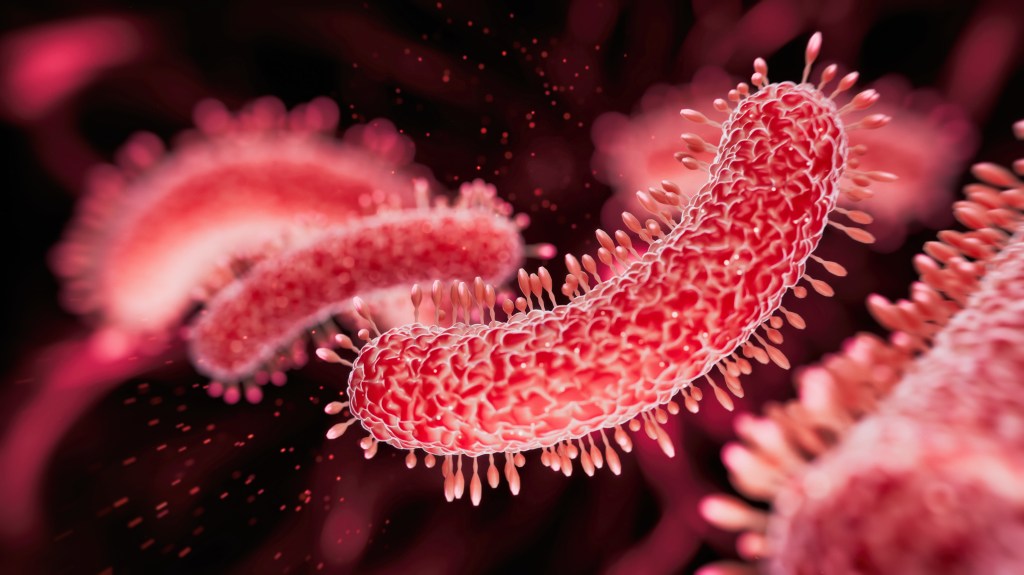 10 science facts you probably didn’t know
