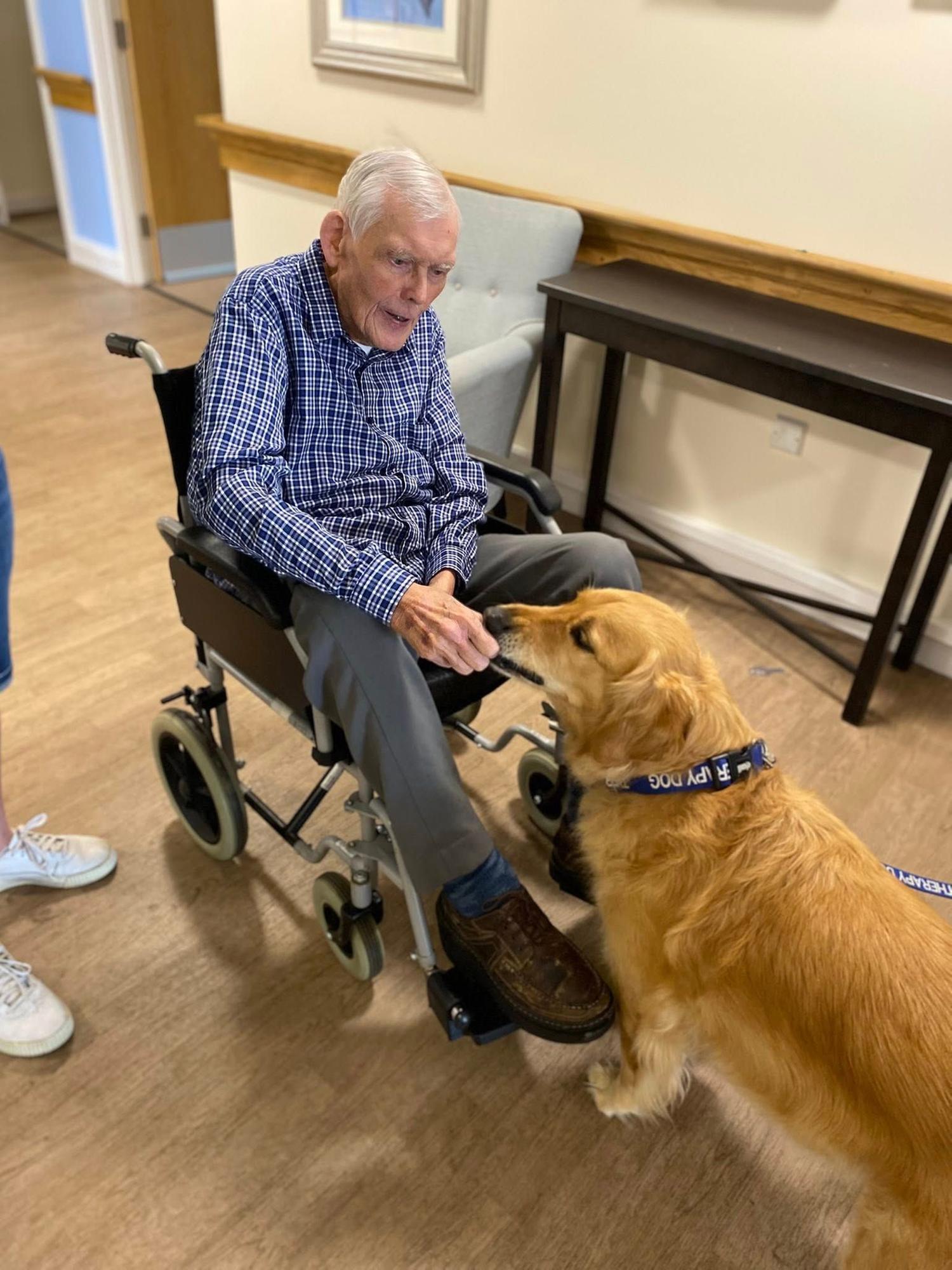 Friends fur-ever! Crowborough care home residents enjoy pet therapy