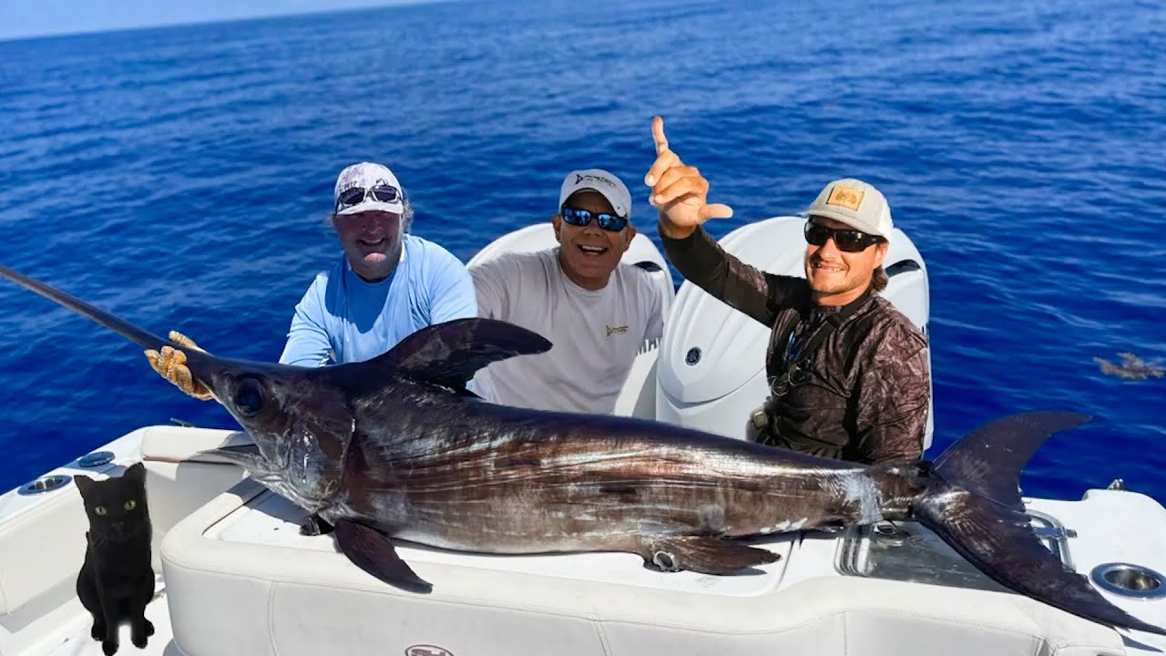 Chasing Giant Swordfish In Deep Blue Waters