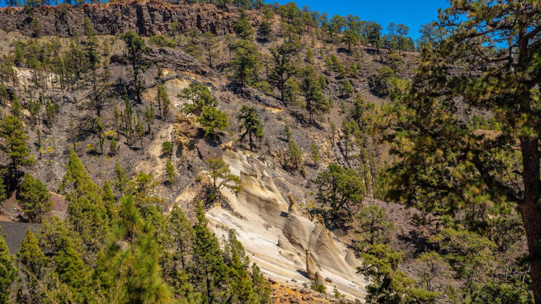 Trail alert: Popular California hiking routes close after rockslide ...