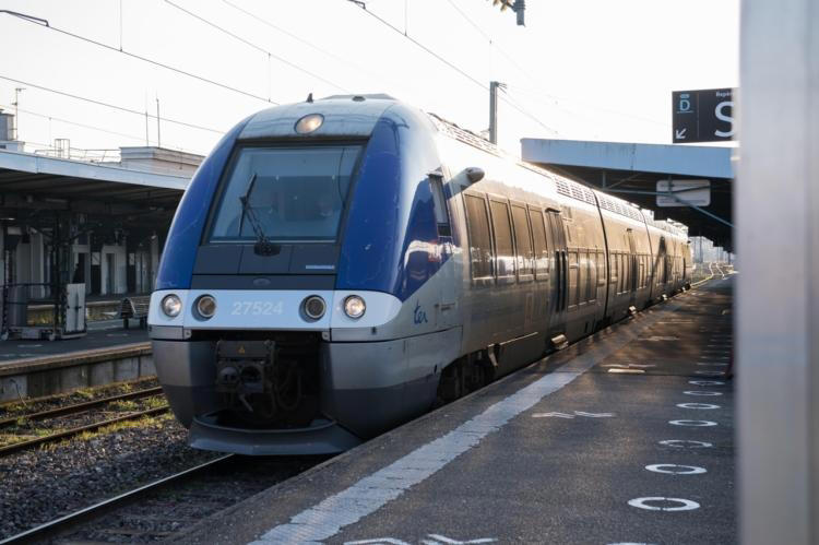 Animal heurté par un train, panne de signalisation : le trafic des TER a été très perturbé en Sarthe