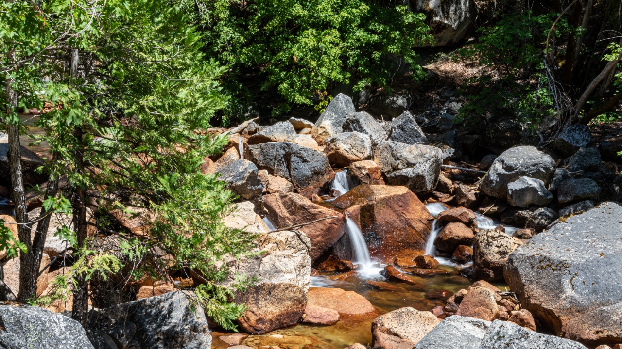 California’s national parks set to roll out reservation system—Here’s ...