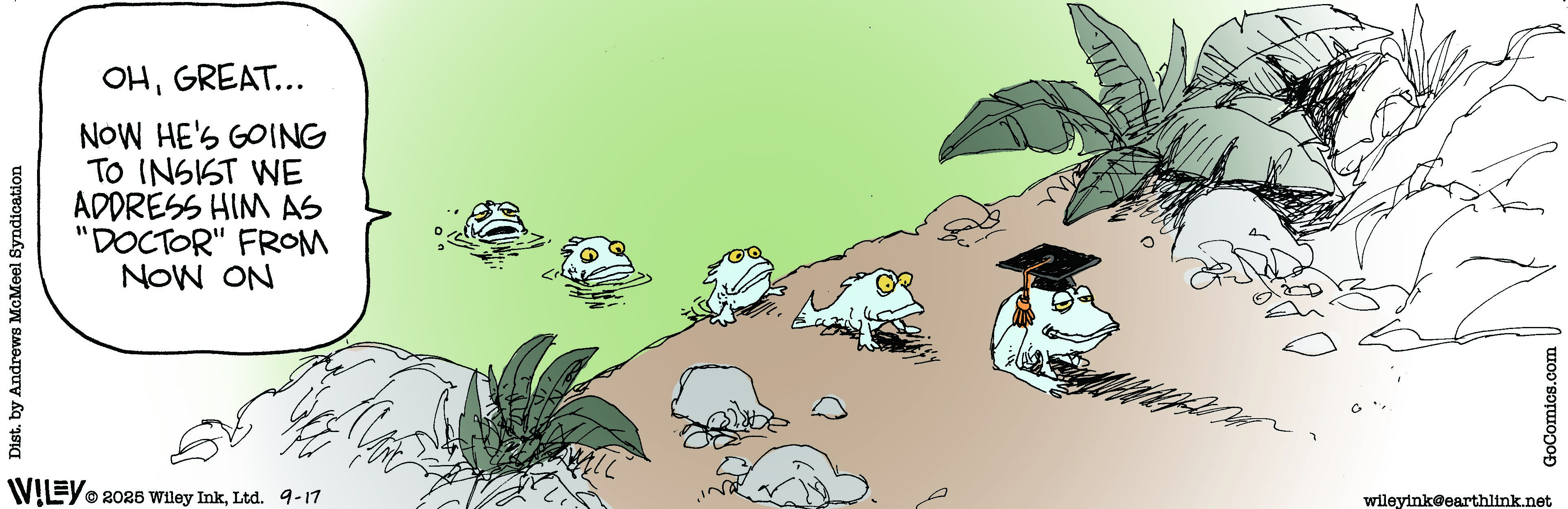 Non Sequitur by Wiley Miller