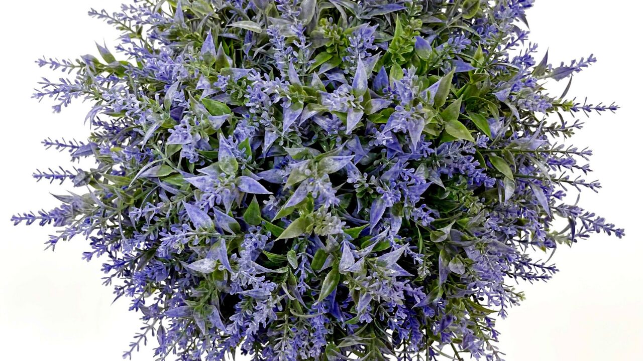 Lavender Balls