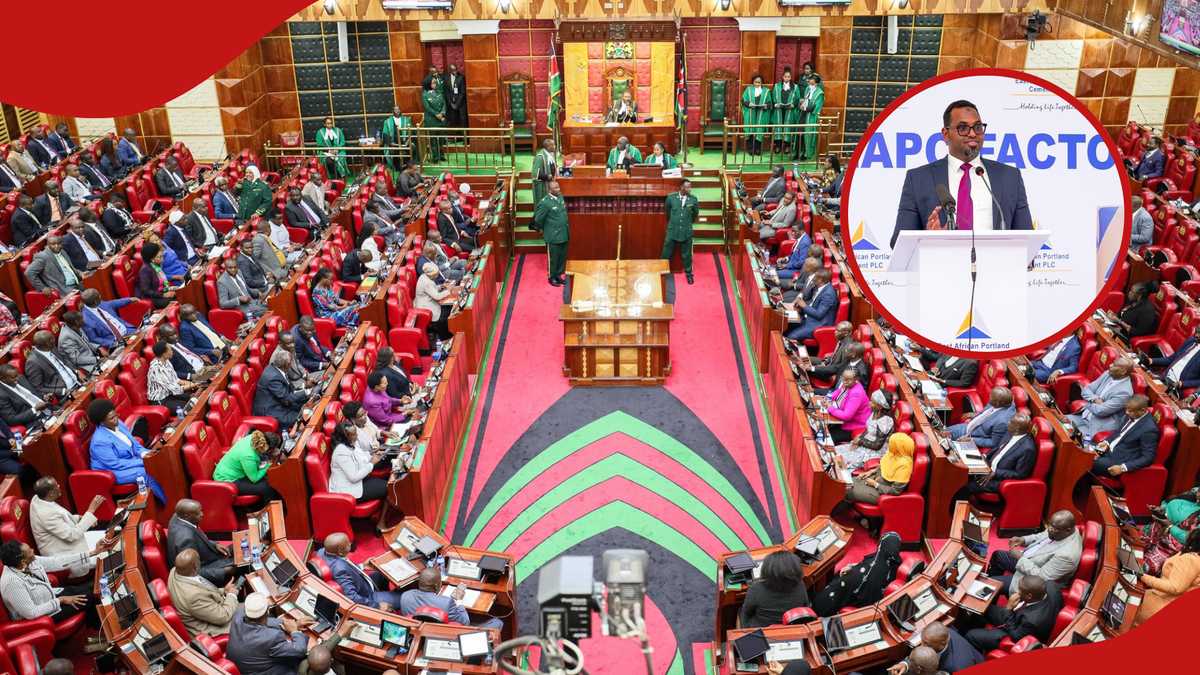 Kenyan MPs block Tanzanian tycoon's Portland Cement stake purchase ...