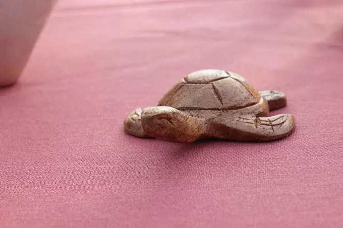 How to Choose the Best Feng Shui Turtle for Positive Energy