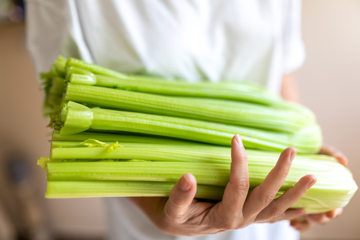 What Really Happens to Your Body When You Eat Celery Every Day ...