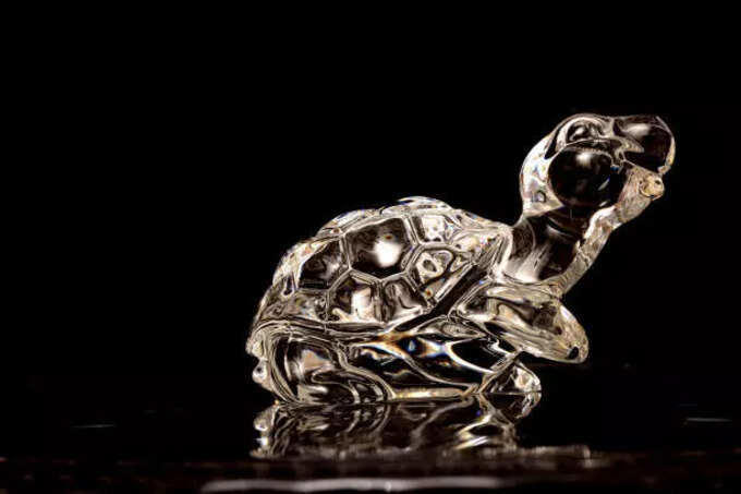 How to Choose the Best Feng Shui Turtle for Positive Energy