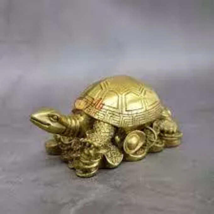 How to Choose the Best Feng Shui Turtle for Positive Energy