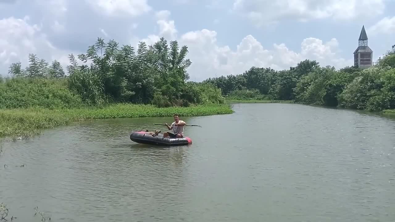 Dogs help pull boat to shore in Guangxi, China