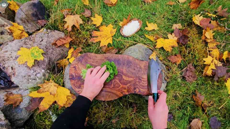 A Giant Chicken Parm Sandwich, only a few people can eat the whole ...