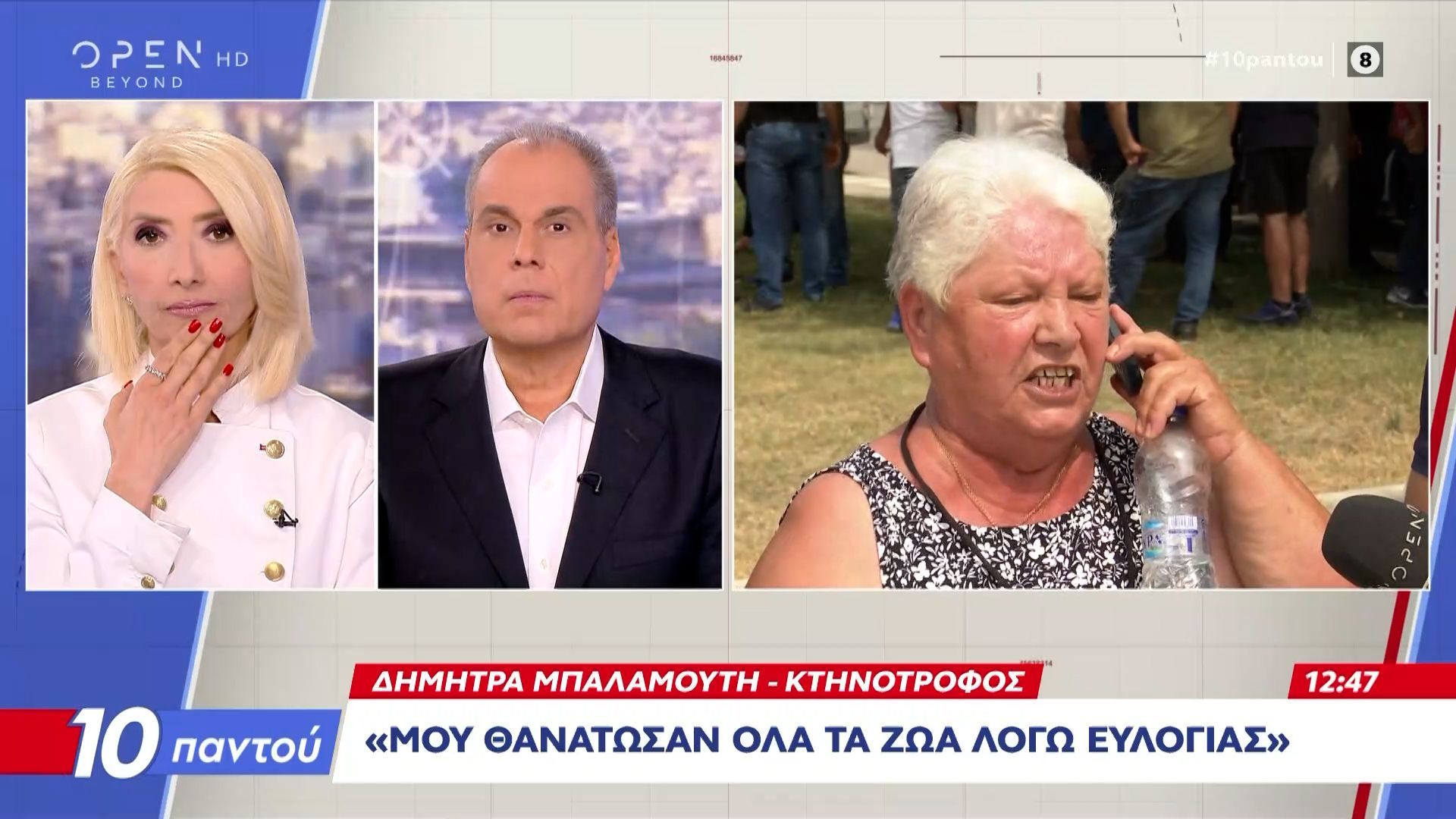 Κτηνοτρόφος: «Μου θανάτωσαν όλα τα ζώα»