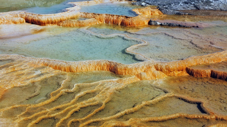 Signs To Look For When Determining If A Hot Spring Is Safe To Swim In