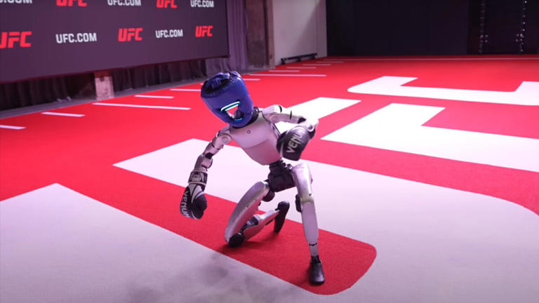 Ce robot est capable de boxer et le montre en vidéo