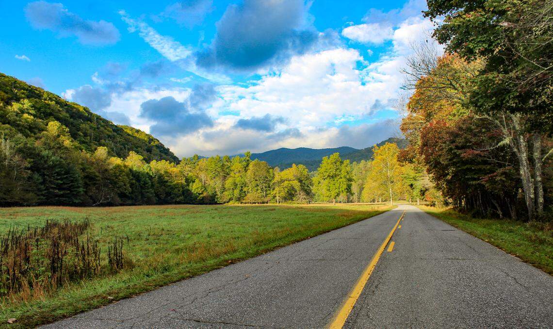 ‘Unpredictable' animals breeding in Smoky Mountains may charge at cars ...