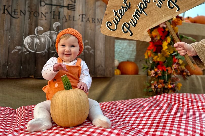 Pumpkin picking patches around Merseyside and beyond