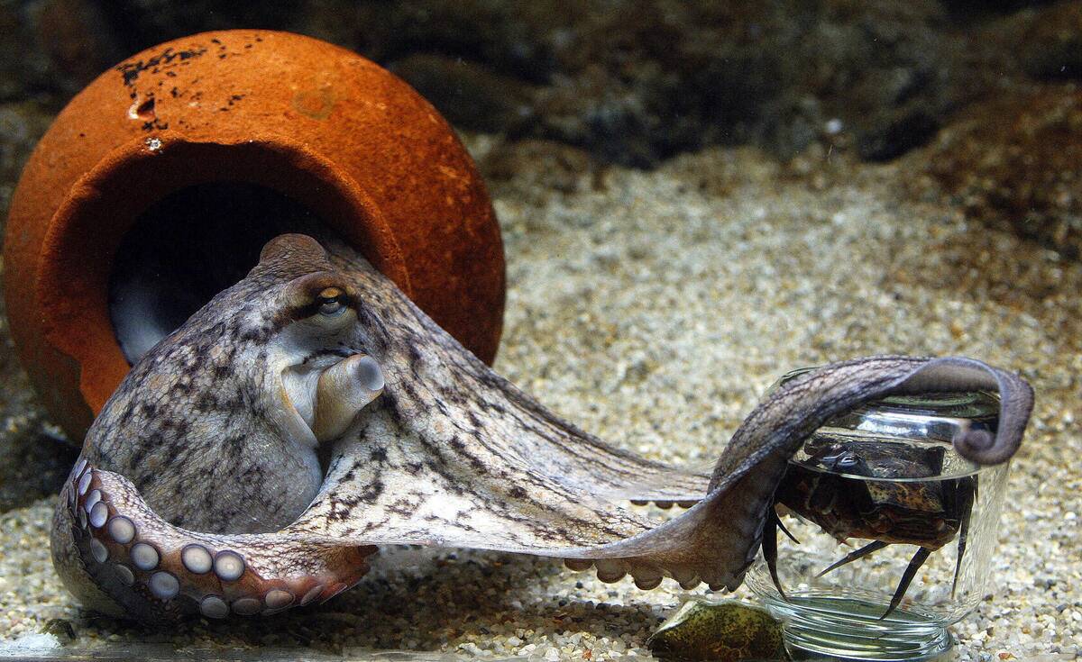 29 Intriguing facts that tickled our brains