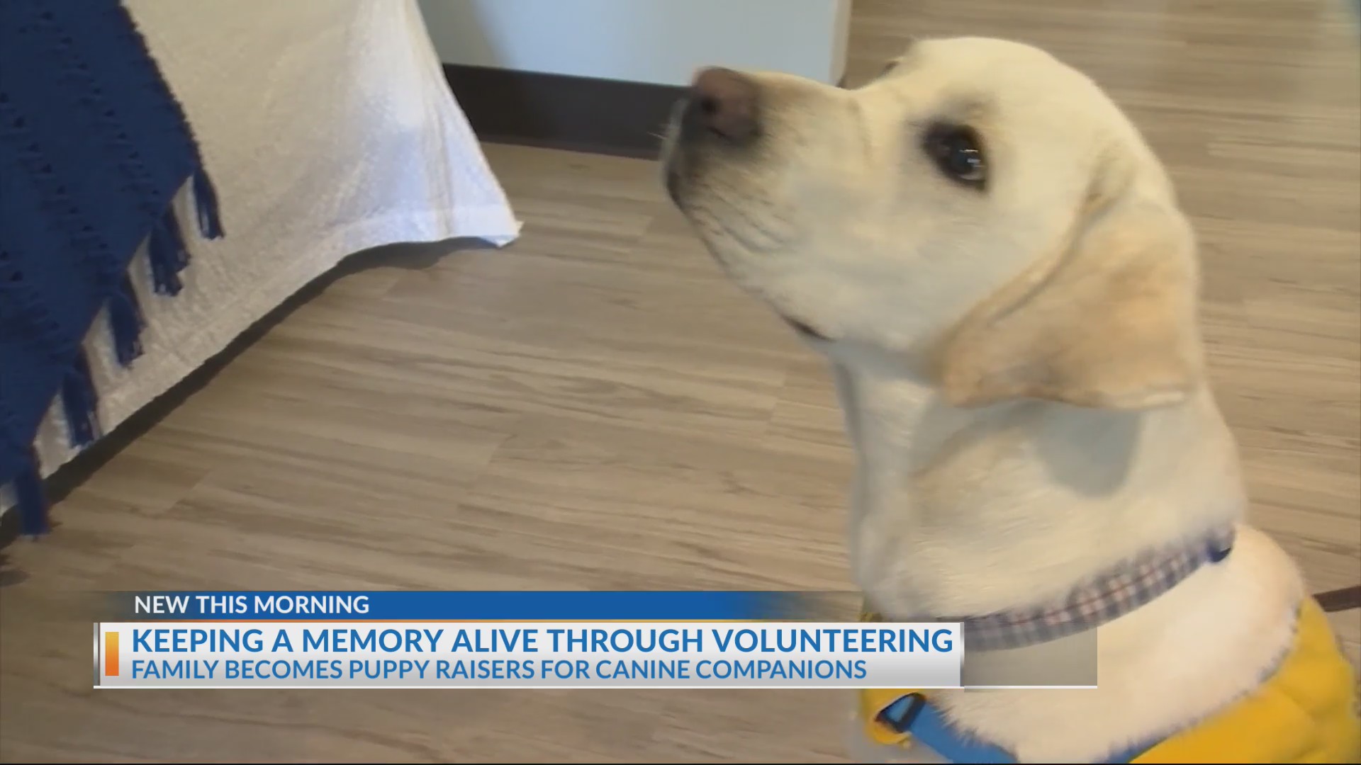 How Canine Companions volunteers are keeping a loved one's memory alive
