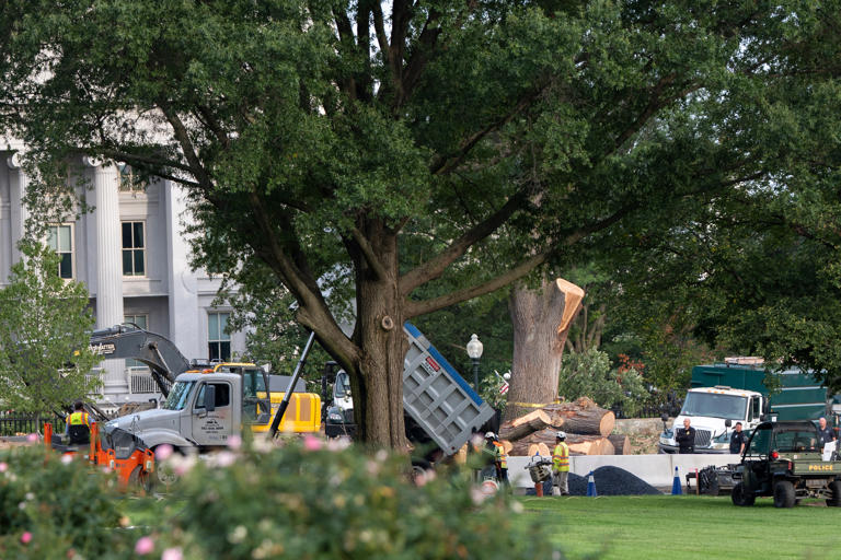 These Photos Showing Trump's Construction On His New Ballroom Are Going ...