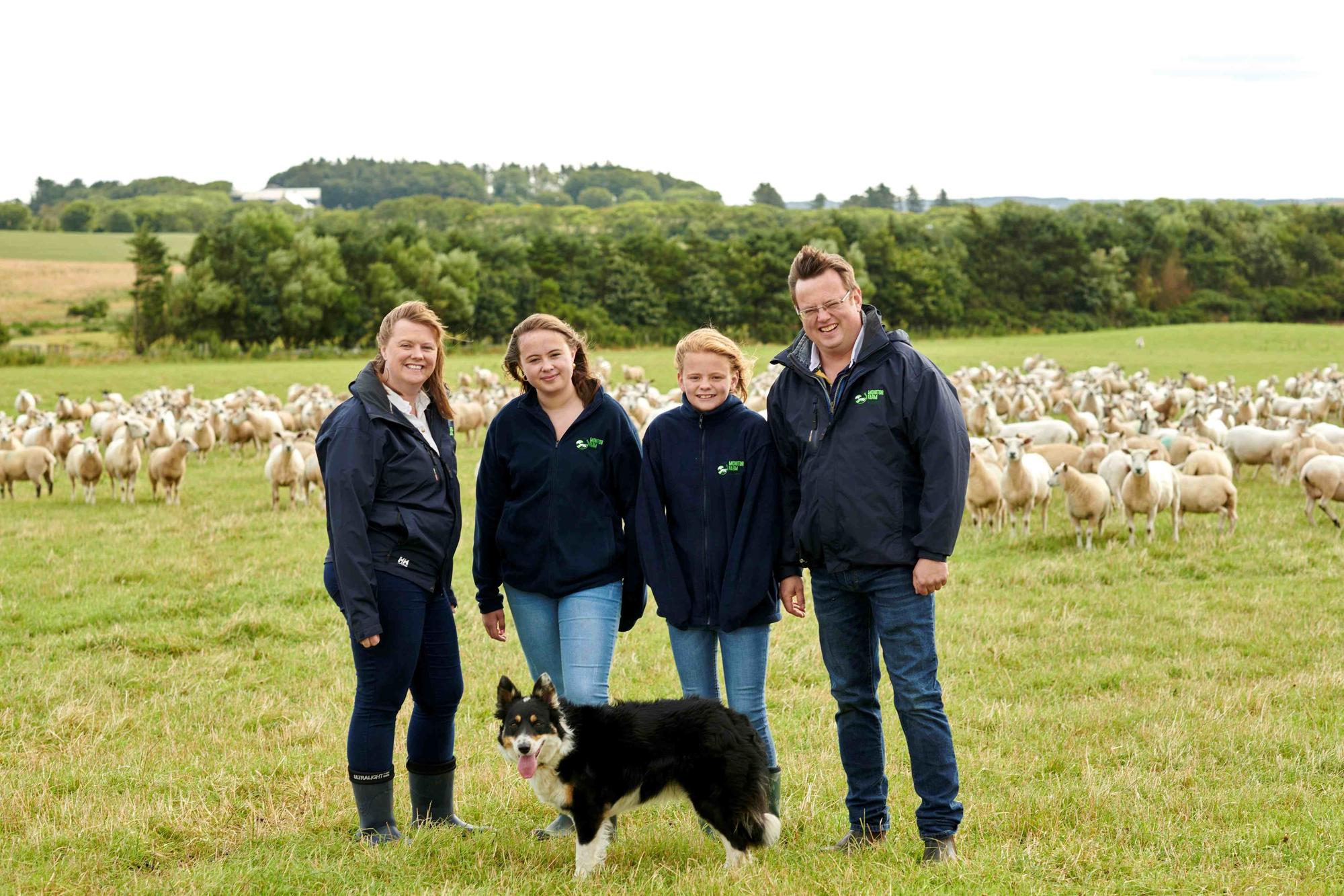 Sheep to take centre stage at upcoming Banff and Buchan Monitor Farm ...